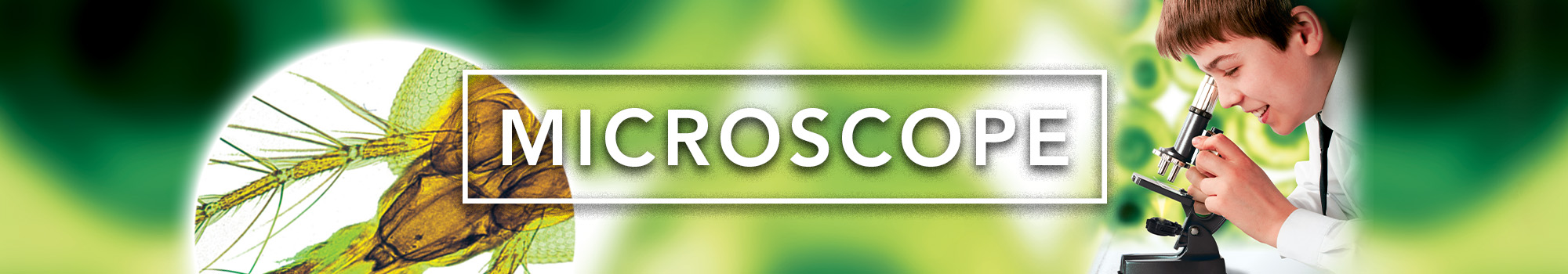 Edu-Toys | EDU-Science(H.K) Limited (ESL)